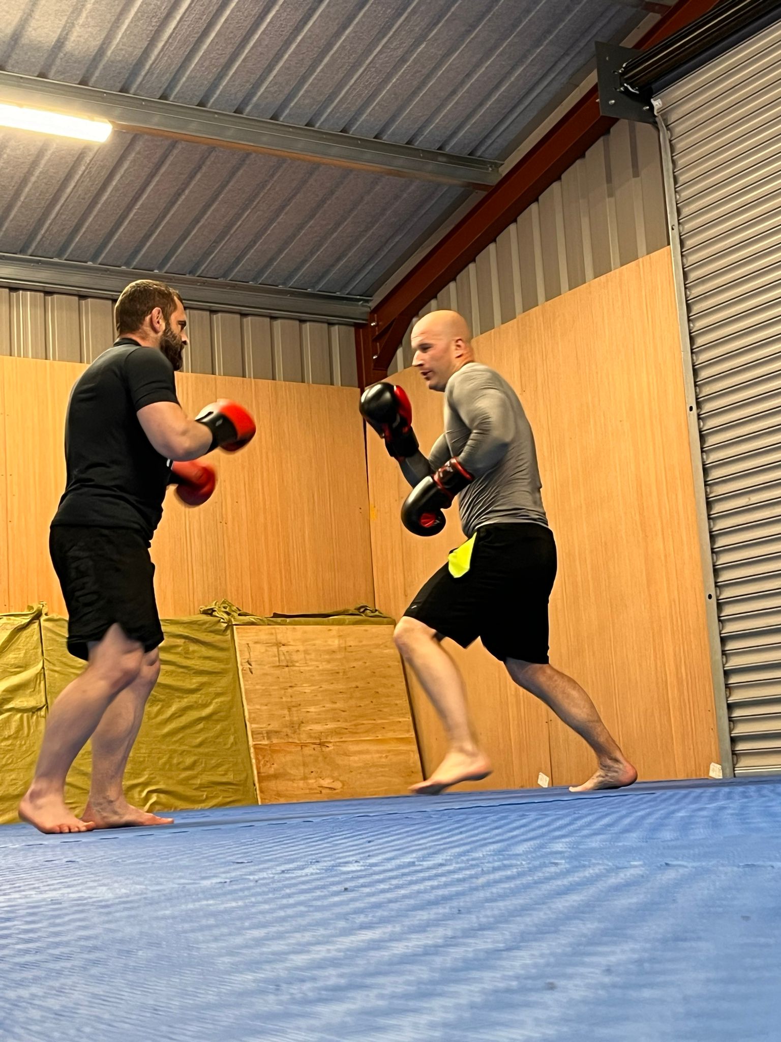 Boxing - Ace Martial Arts